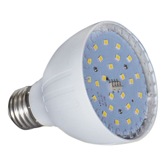 AMP 12V LED R56 RGBW Spa Bulb